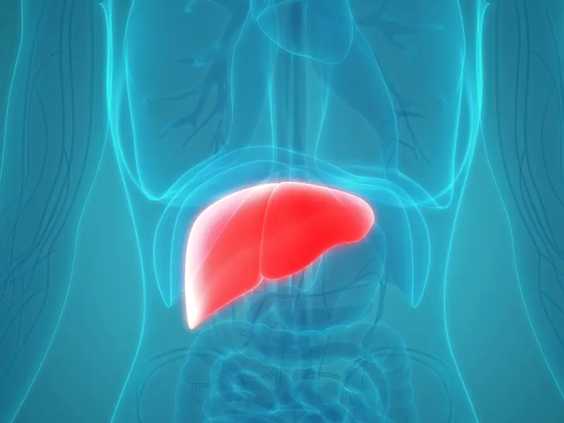 Enfermedades del HIGADO | Baylor Scott & White Health